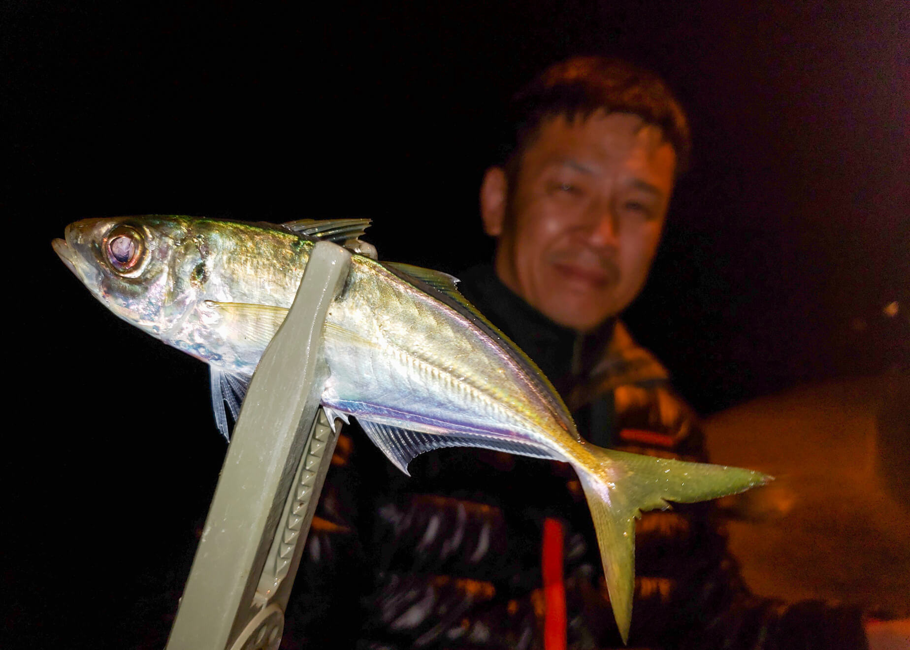 アジ 飼育, アジ 走光性 – KZEOL